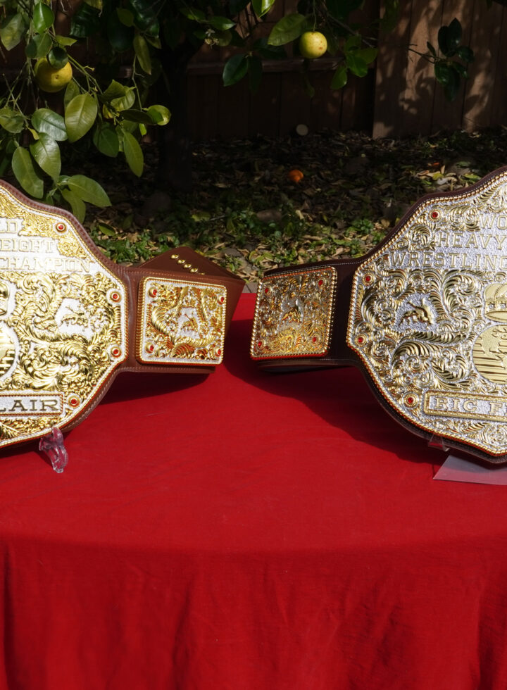 Championship Belts Archives | Page 4 of 7 | hXcHector.com