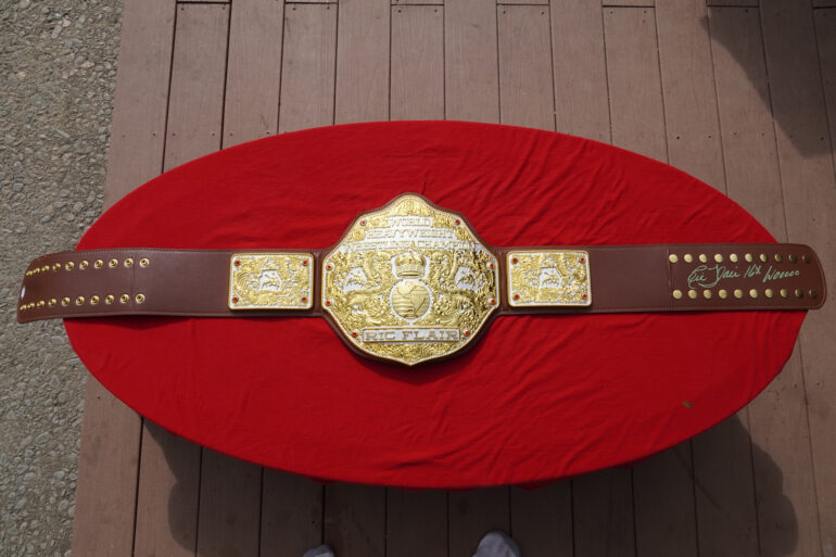 Fandu Big Gold Dual Plated Replica Review | hXcHector.com