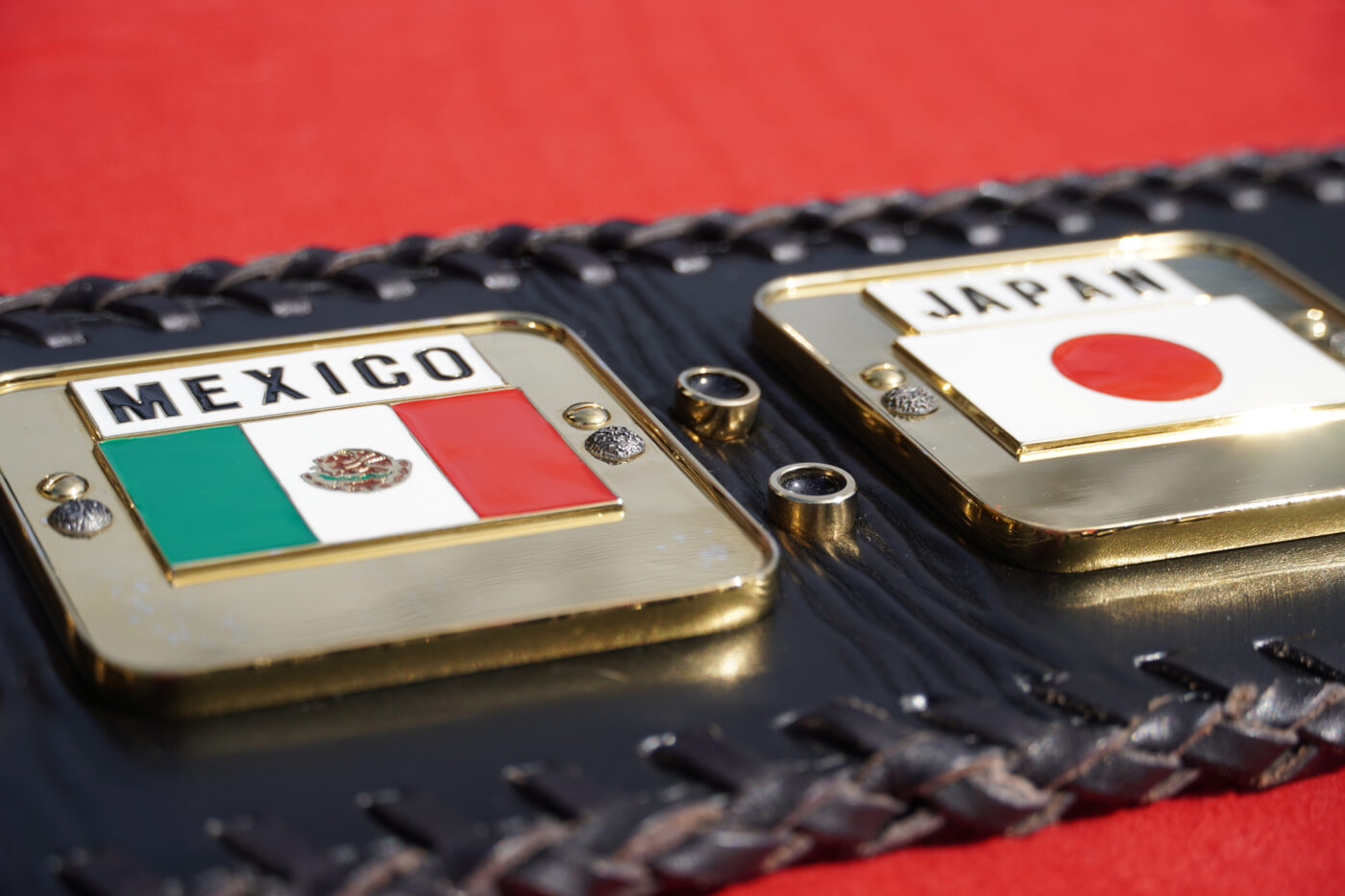 NWA Worlds Heavyweight Championship Ultra Deluxe Replica Review - Figs ...