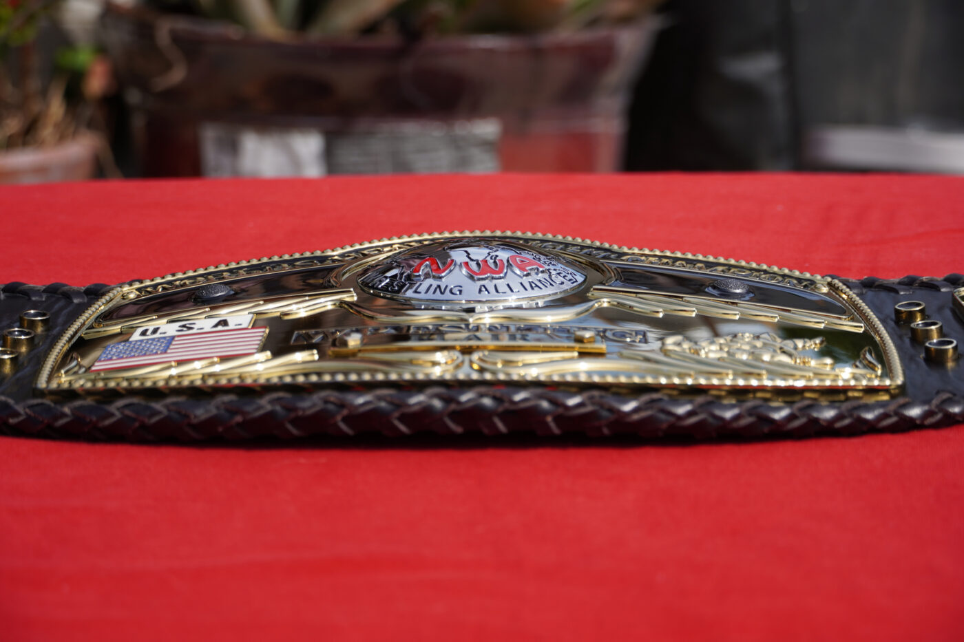 NWA Worlds Heavyweight Championship Ultra Deluxe Replica Review - Figs ...