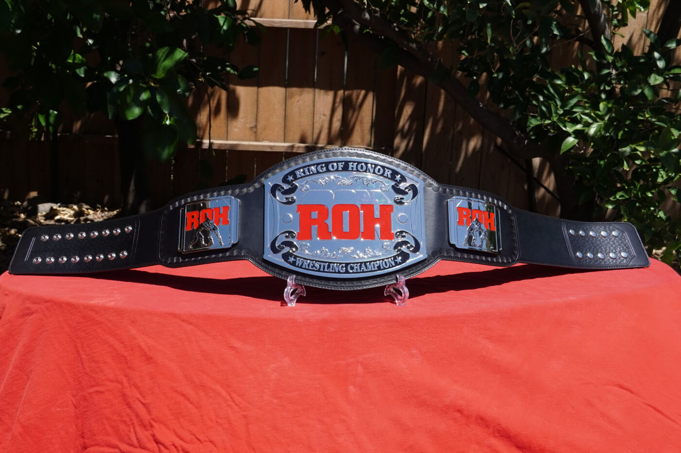 ROH Championship Replica Review - Figs Toy Co | hXcHector.com