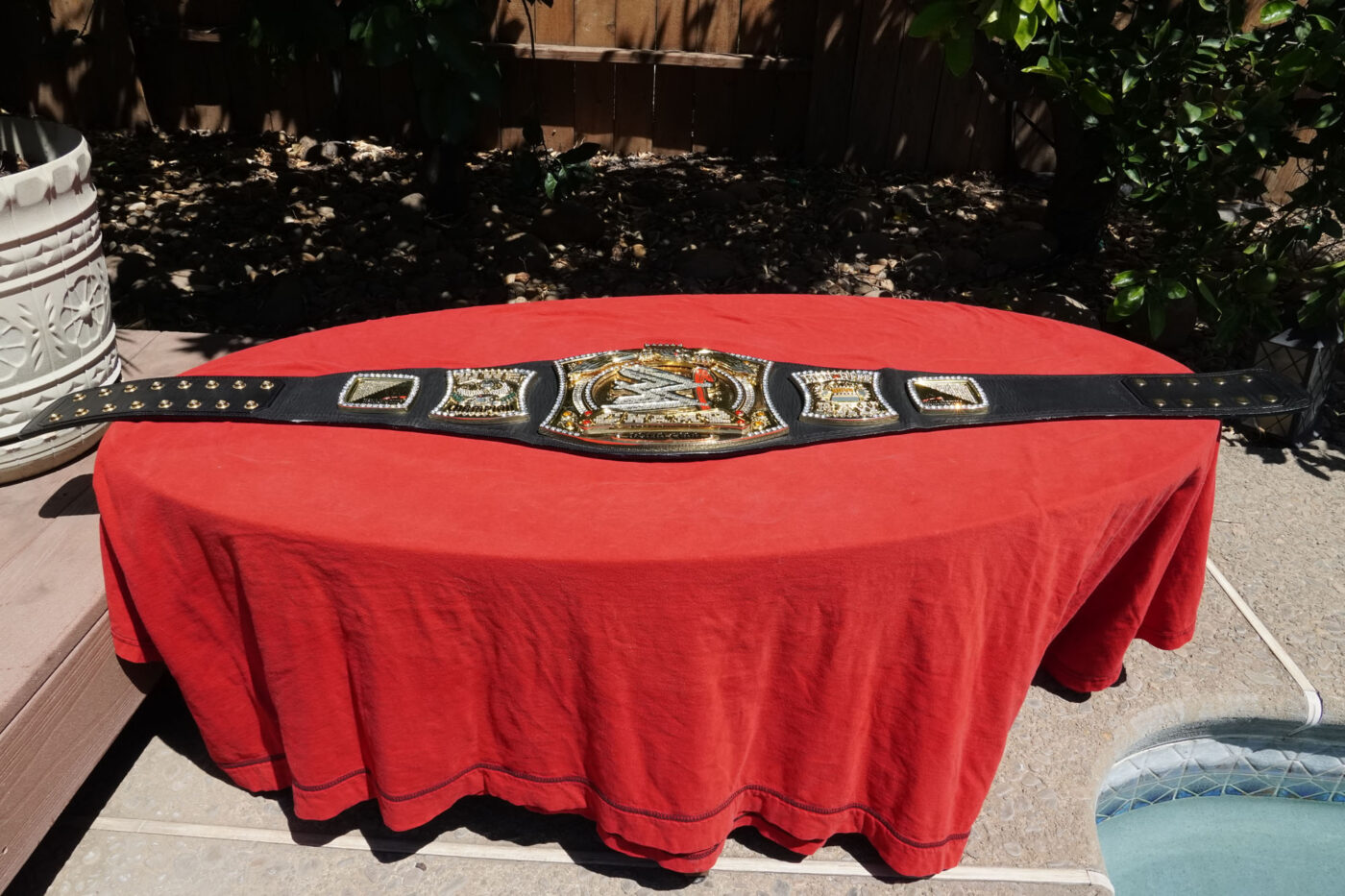 WWE Championship Spinner Deluxe Replica Review - Figs Toy Co ...