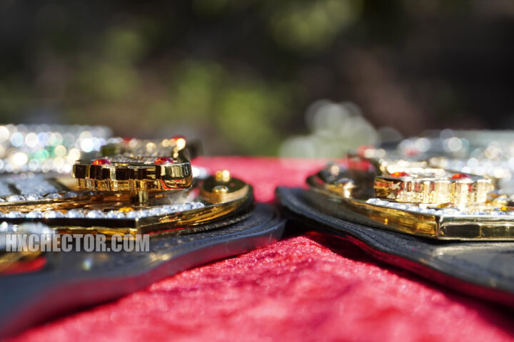 WWE Championship Spinner Replica Belts Compared | hXcHector.com