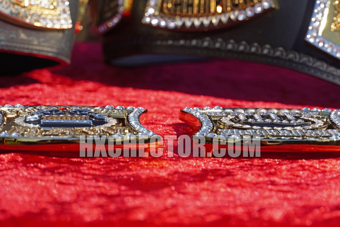 WWE Spinner Side Plates Review and Comparison | hXcHector.com