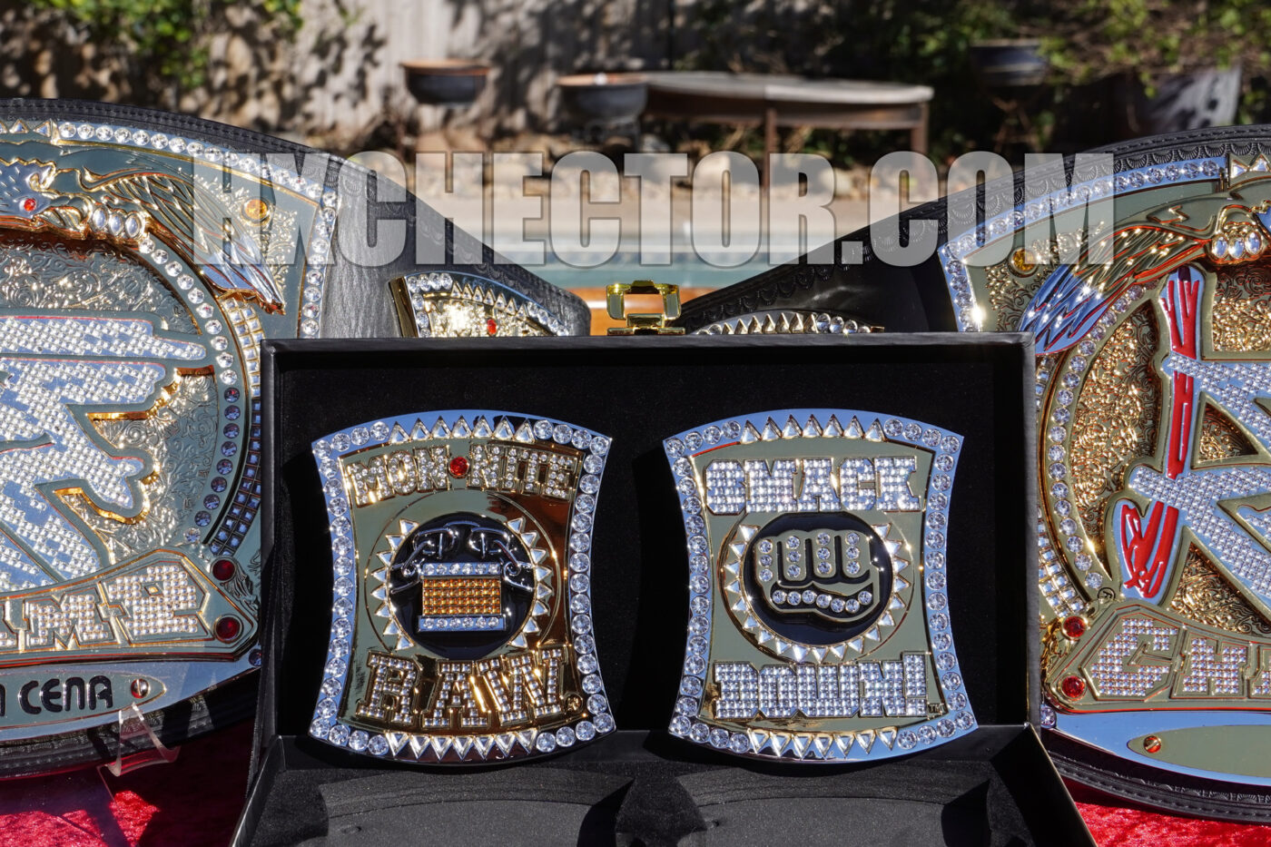 WWE Spinner Side Plates Review and Comparison | hXcHector.com