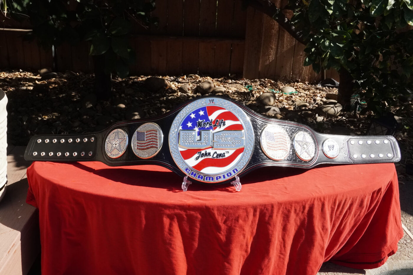 WWE US Spinner Replica Review - Figs Toy Co | hXcHector.com