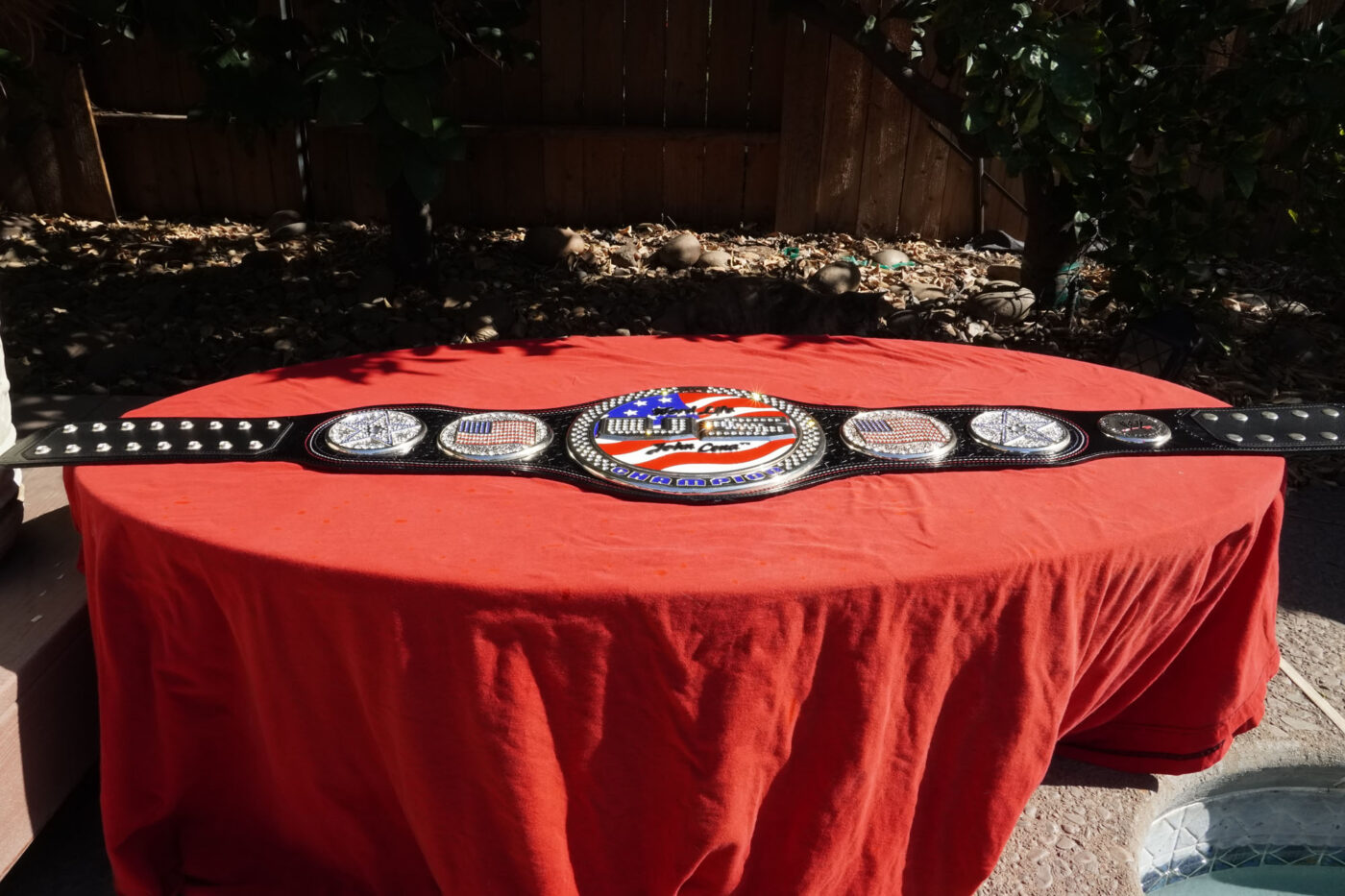 WWE US Spinner Replica Review - Figs Toy Co | hXcHector.com
