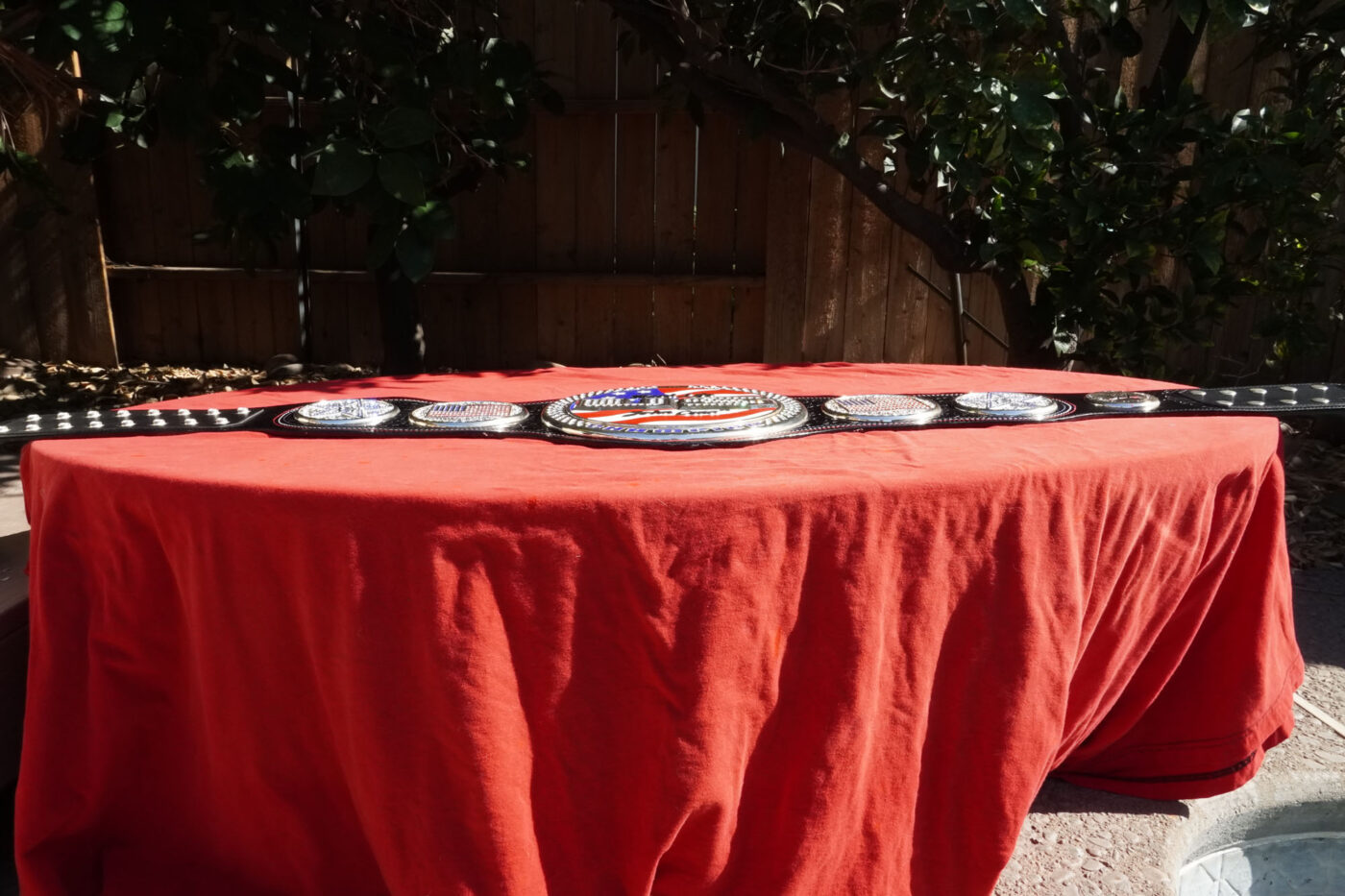 WWE US Spinner Replica Review - Figs Toy Co | hXcHector.com