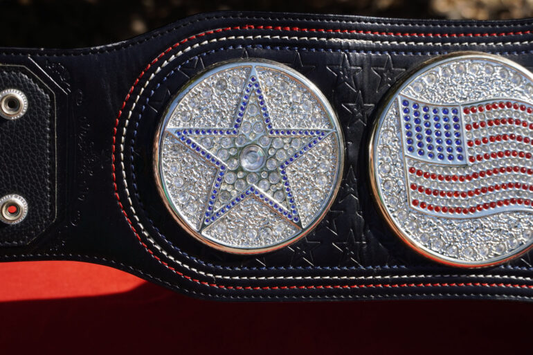 WWE US Spinner Replica Review - Figs Toy Co | hXcHector.com