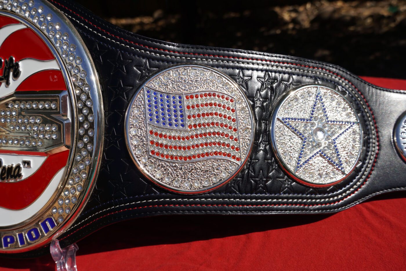 WWE US Spinner Replica Review - Figs Toy Co | hXcHector.com