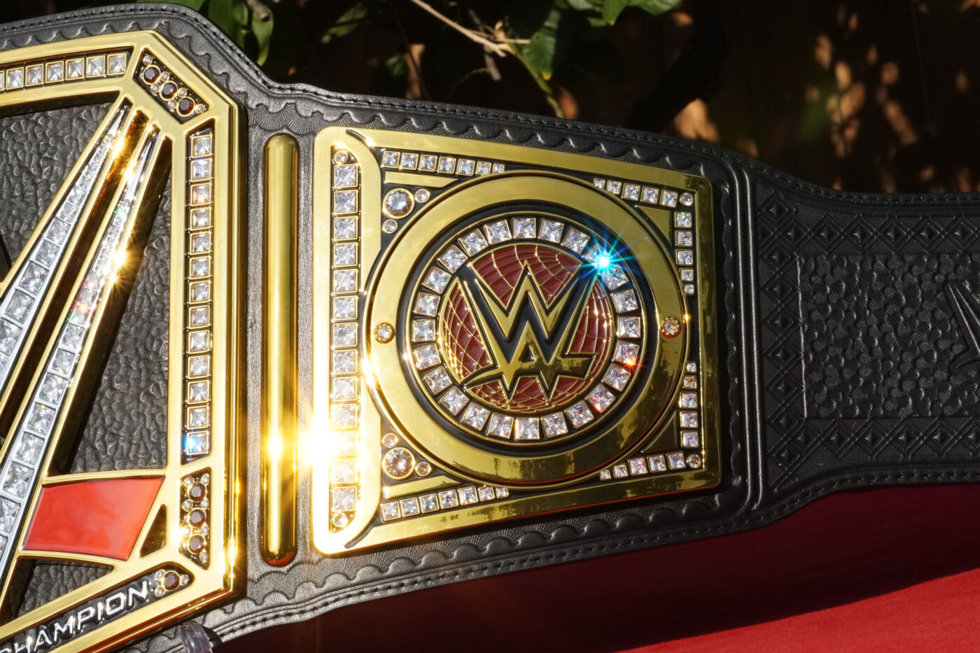 WWE Championship 2014 Elite Series Replica Review - WWE Shop ...