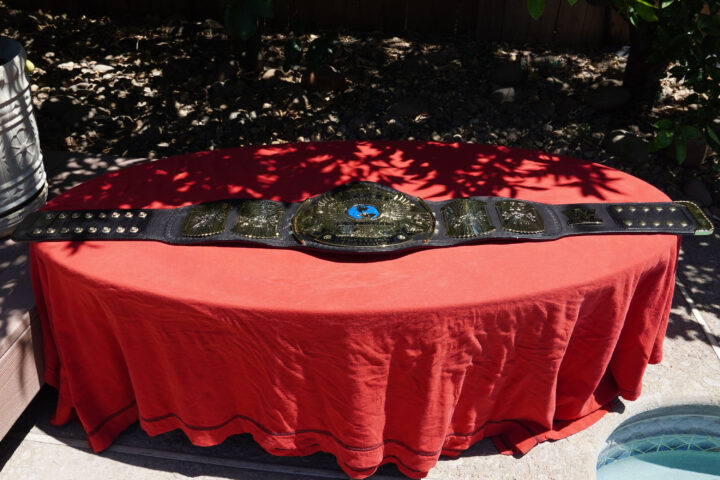 WWF Winged Eagle Deluxe Replica Review - Figs Toy Co | hXcHector.com