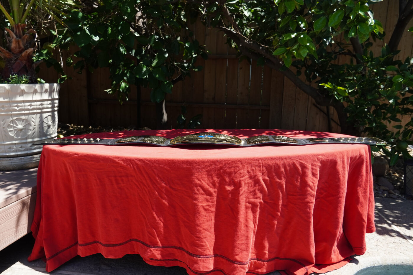 WWF Winged Eagle Deluxe Replica Review - Figs Toy Co | hXcHector.com